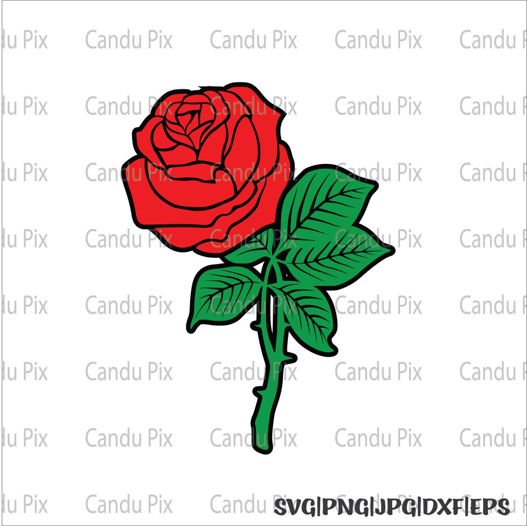 Red Rose Svg, Red Rose Png, Rose Decal Svg, Rose Monogram Svg - Etsy