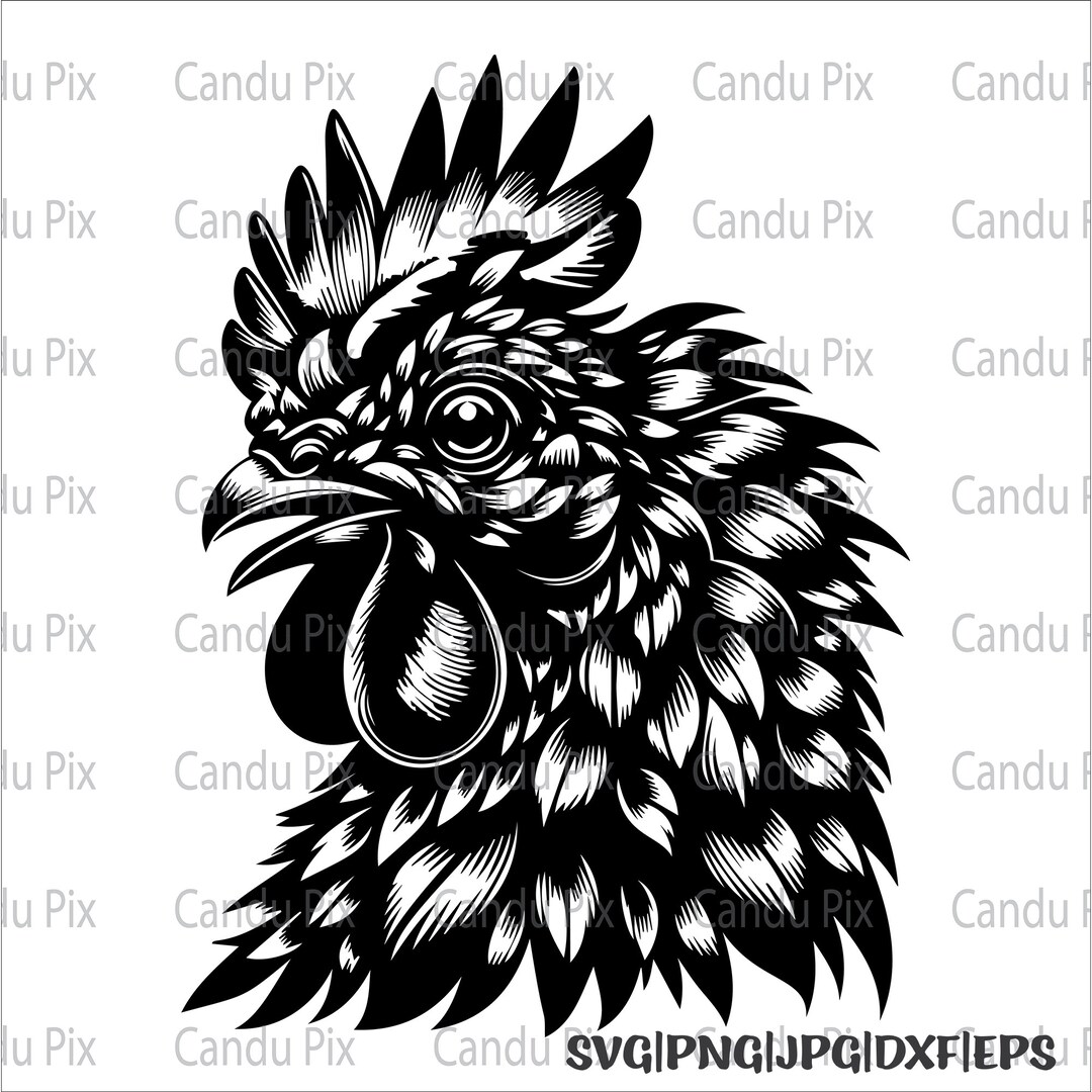 Feather Svg, Rooster Svg, Feather Png, Rooster Png, Feather Dxf ...
