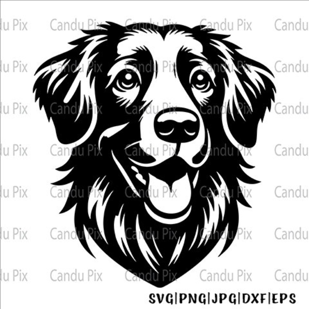 Nova Scotia Svg, Duck Retriever Svg, Nova Scotia Png, Duck Retriever ...
