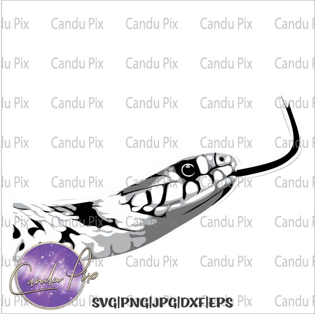 Reptile Snake Svg Serpent Svg Reptile Snake Png Serpent - Etsy