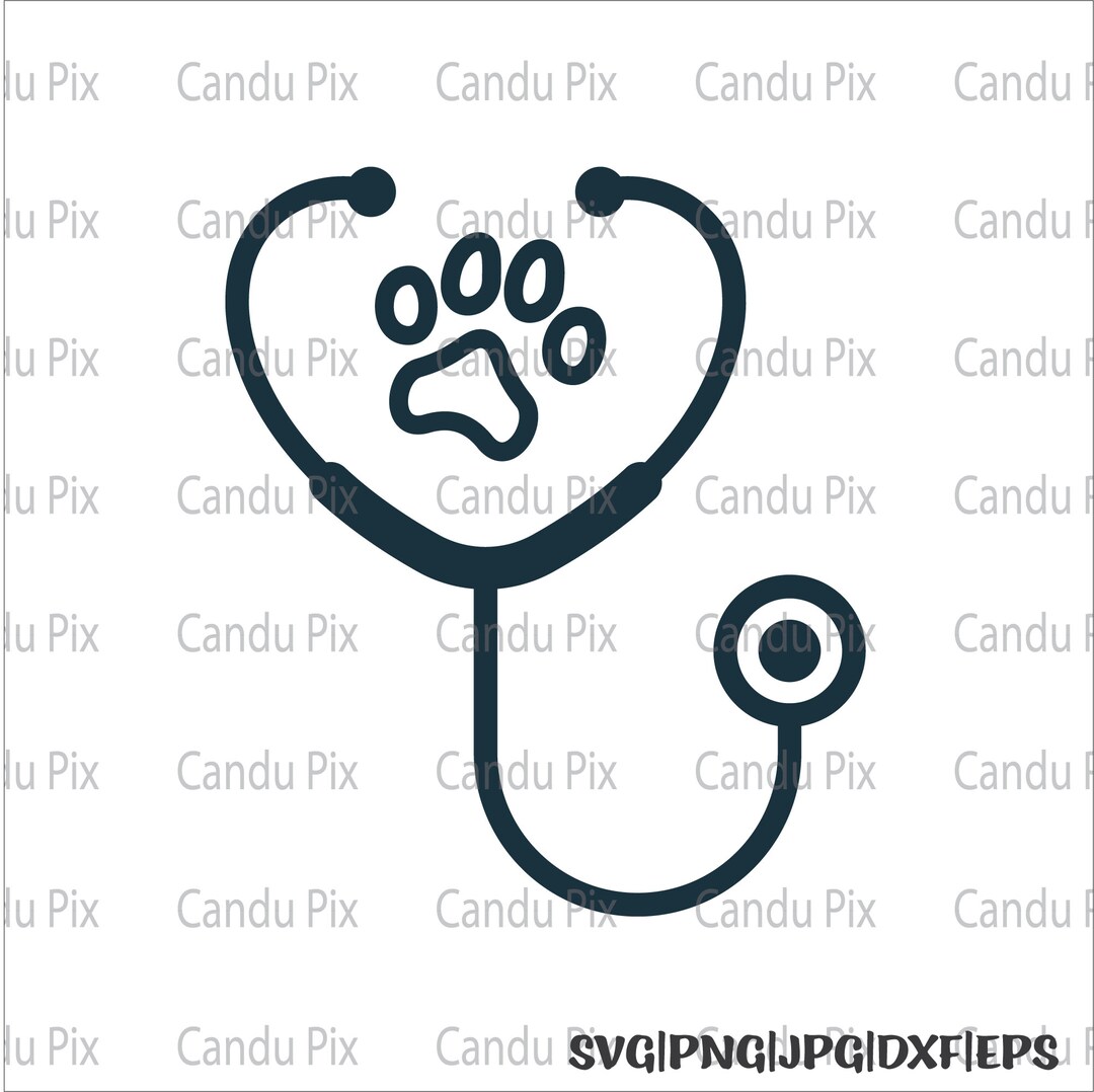 Veterinarian Svg, Stethoscope Svg, Paw Veterinary Svg, Stethoscope Png ...
