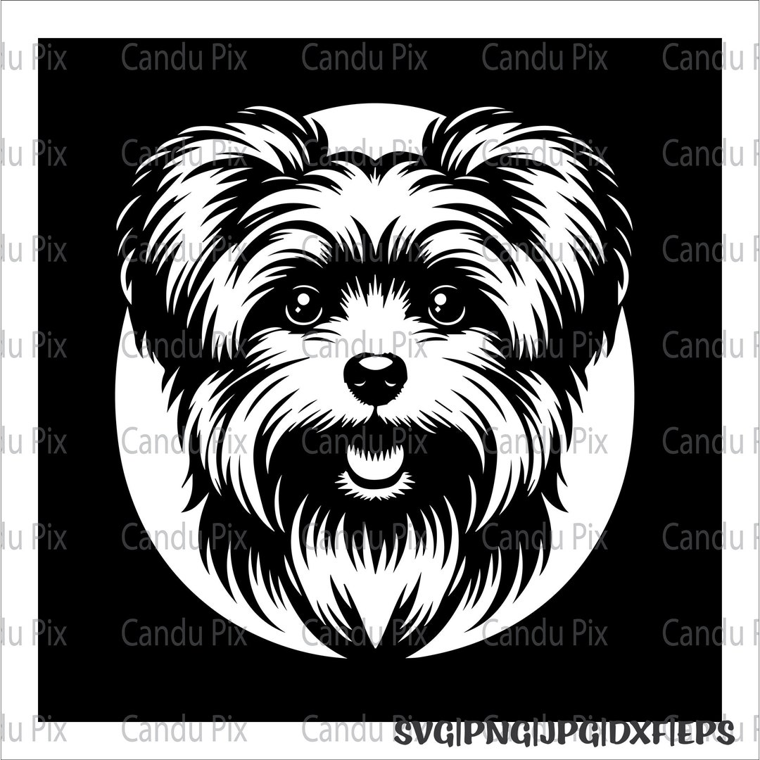 Maltese, Pet Dog, Svg Png Dxf Eps Jpg, Black, 1 Layer Cut File ...
