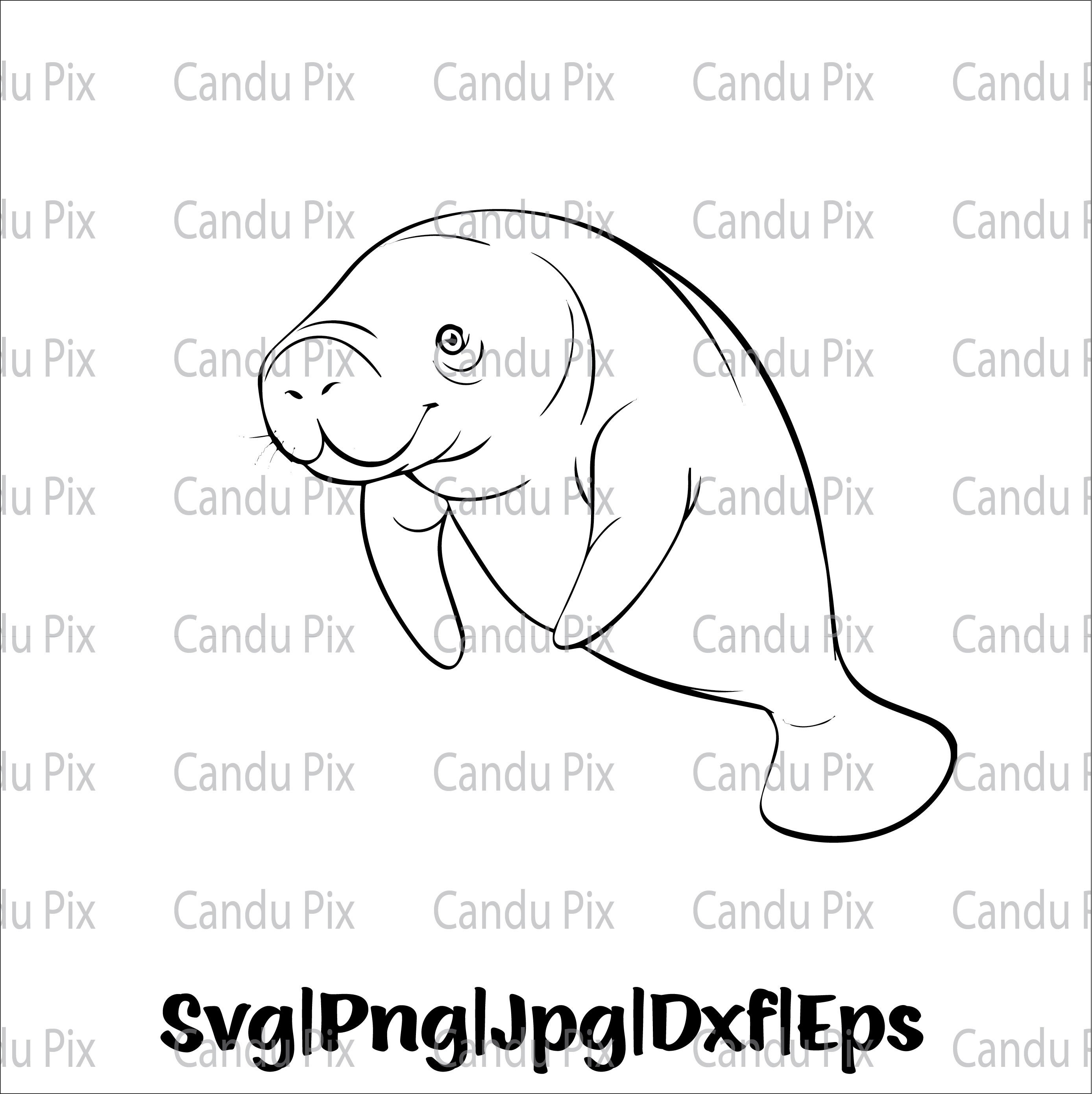 Manatee Svg Smiling Manatee Svg Cute Manatee Svg Png Eps | Etsy