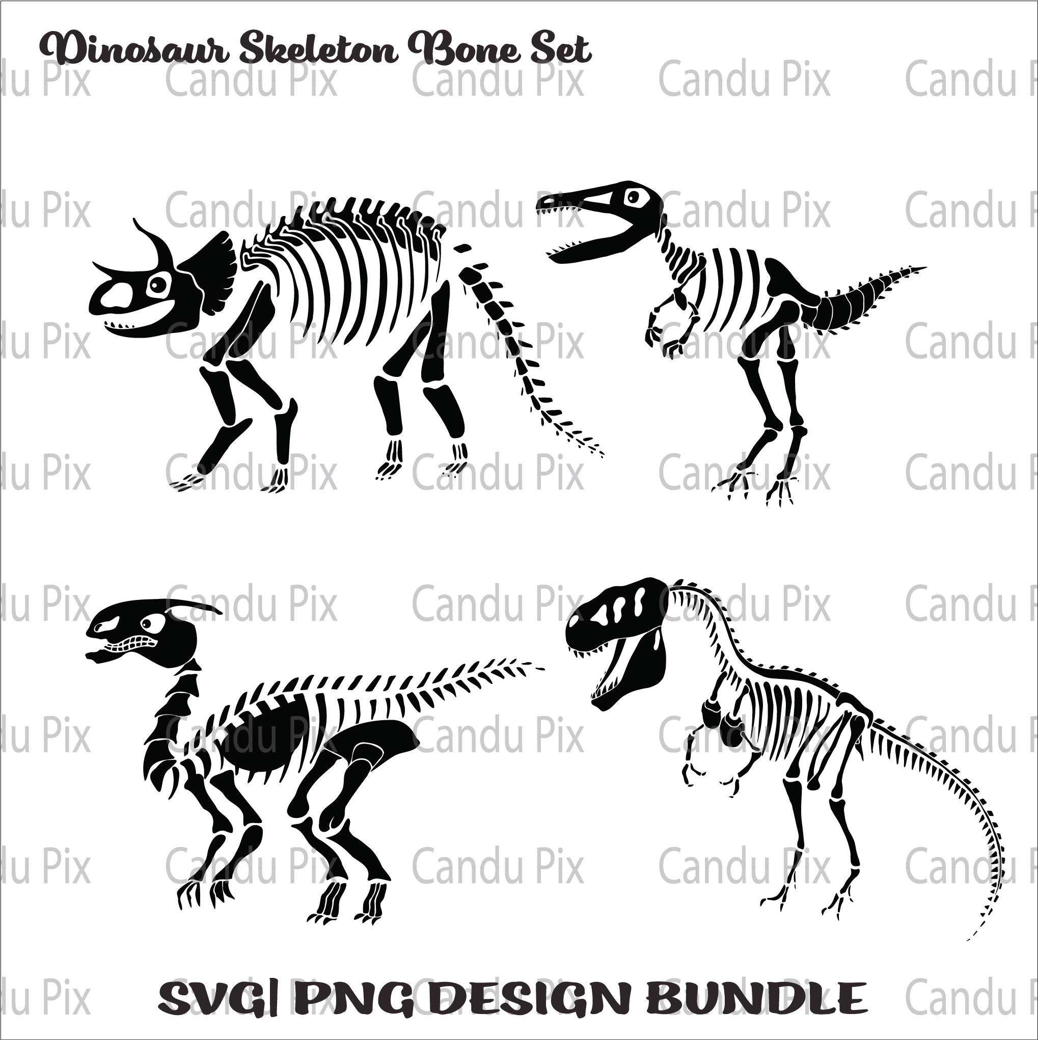 Dinosaur Svg, Bones Svg, Dinosaur Png, Bones Png, Svg Bundle, Dinosaur ...