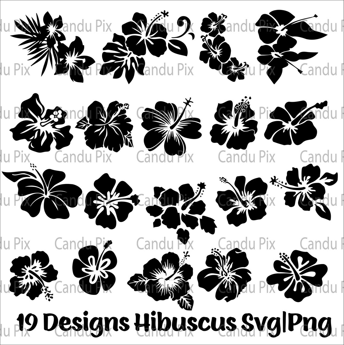 HIBISCUS SVG, HIBISCUS Svg Cut Files for Cricut, Hibiscus Clipart ...