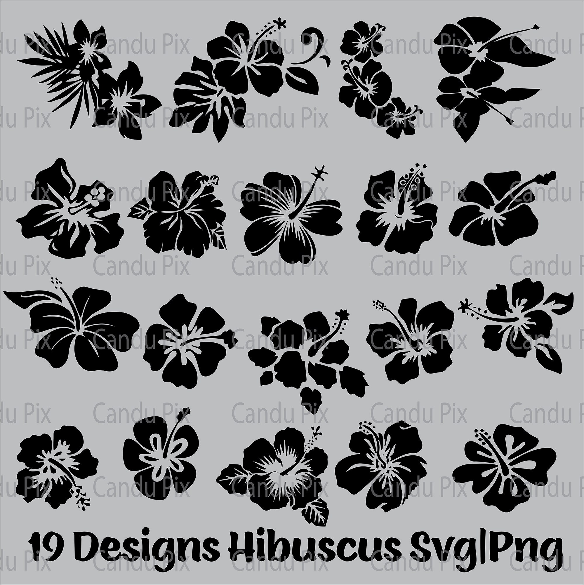 HIBISCUS SVG, HIBISCUS Svg Cut Files for Cricut, Hibiscus Clipart ...