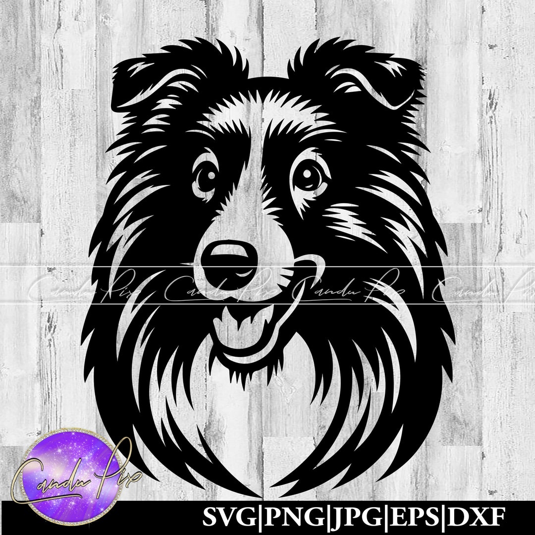 Shetland Svg, Sheepdog Svg, Shetland Png, Sheepdog Png, Shetland Dxf ...