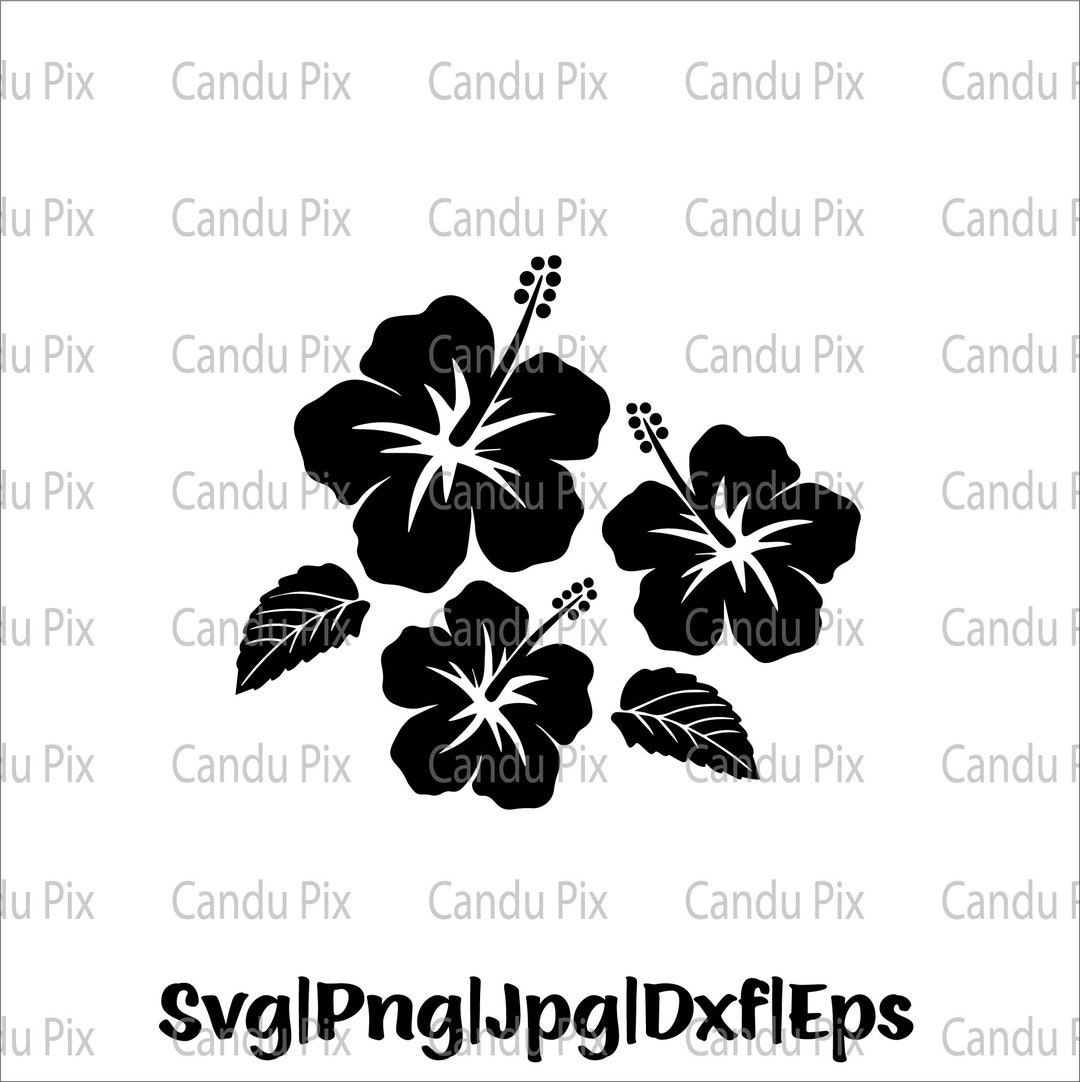 Hibiscus Svg Plant Hibiscus Svg Hawaii Hibiscus Svg Png Eps Dxf