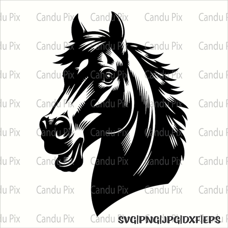 Thoroughbred Horse Svg, Thoroughbred Horse Png 1 Layer Cut File Cowboy ...