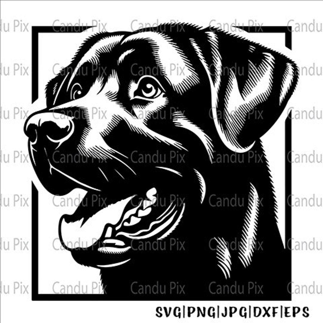 Black Lab Dog Svg, Kuvasz Svg, Kuvasz Png, Pet Portrait Svg, Silhouette ...