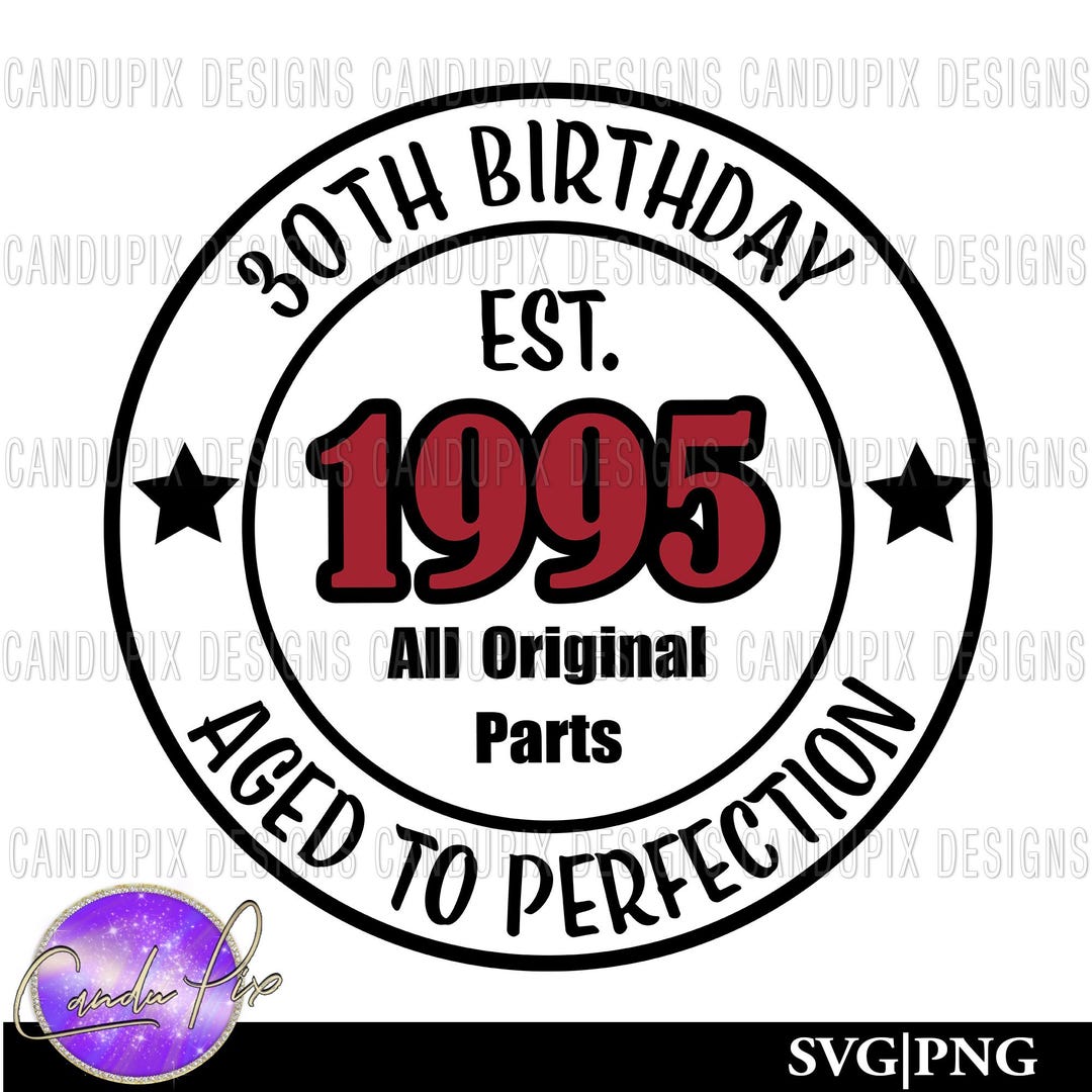 30th Birthday Est 1995, Established in 1995, Birthday Shirt, Its My ...