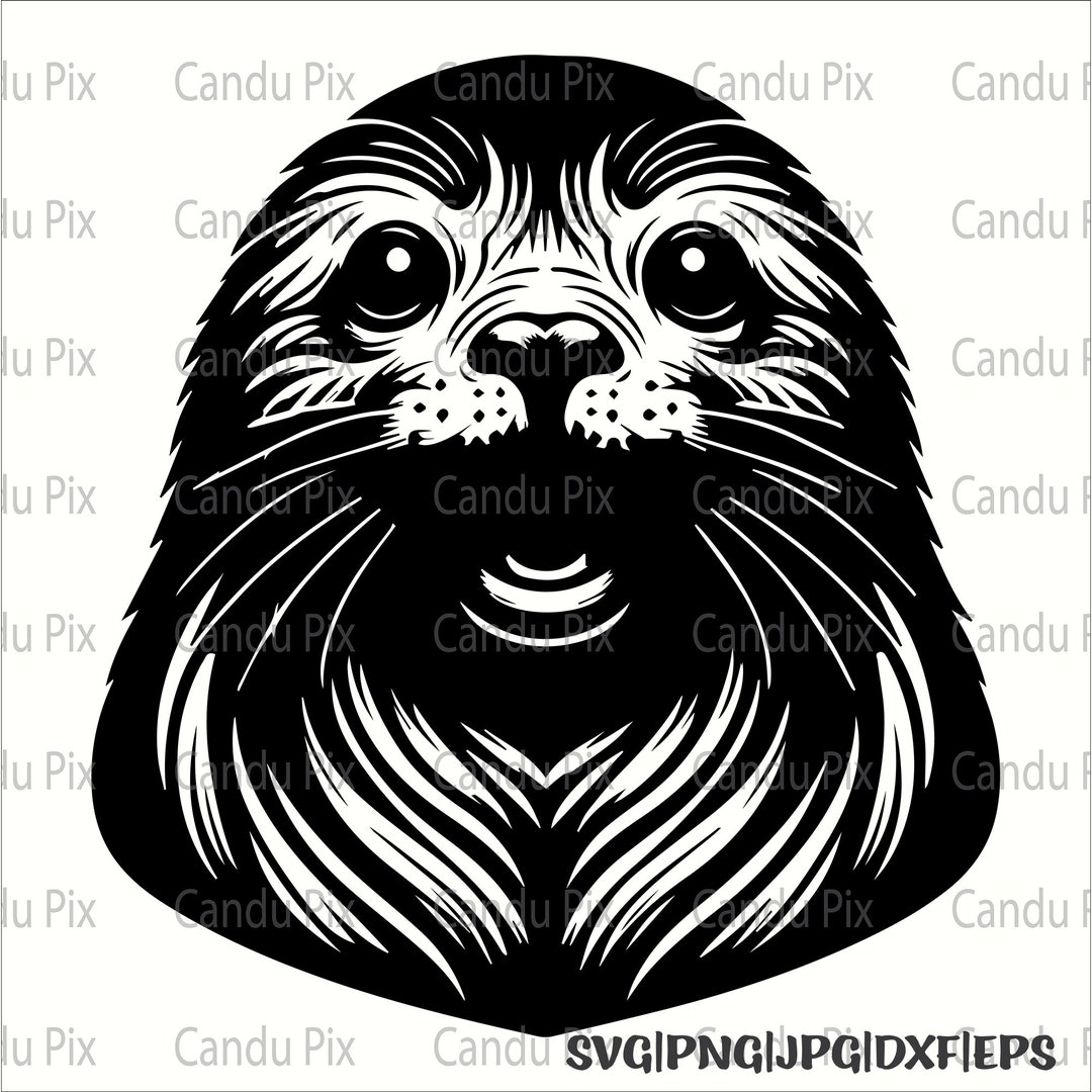 Harp Seal Svg, Animal Face Svg, Harp Seal Png, Animal Face Png - Etsy
