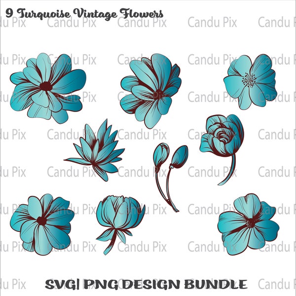 Turquoise Svg - Etsy