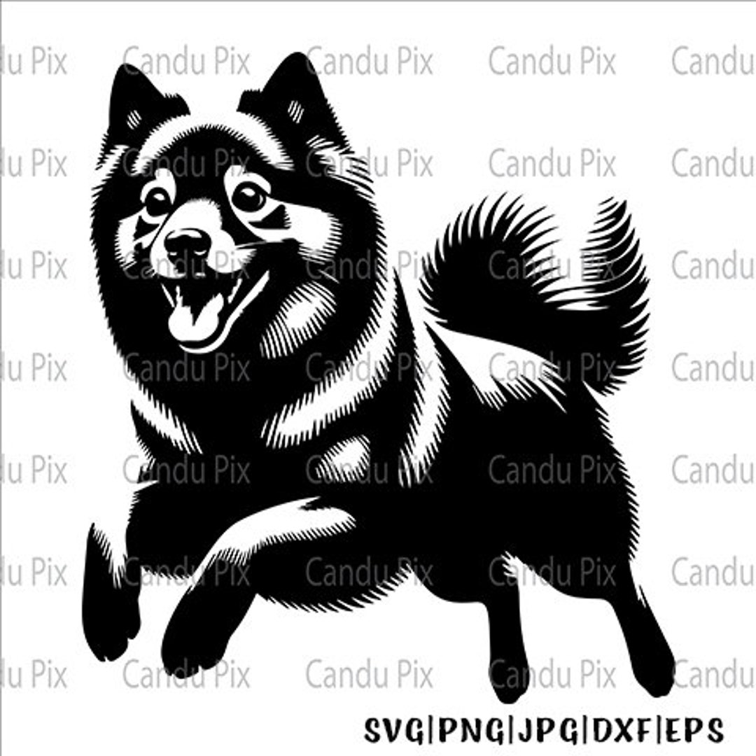 American Eskimo Dog Svg, American Eskimo Dog Png, 1 Layer Cut File ...