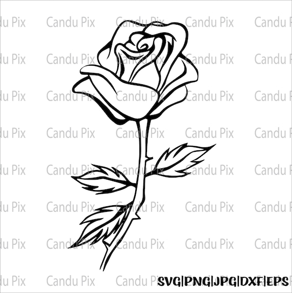 Single Rose Svg Flower Svg Single Rose Png Flower Png - Etsy
