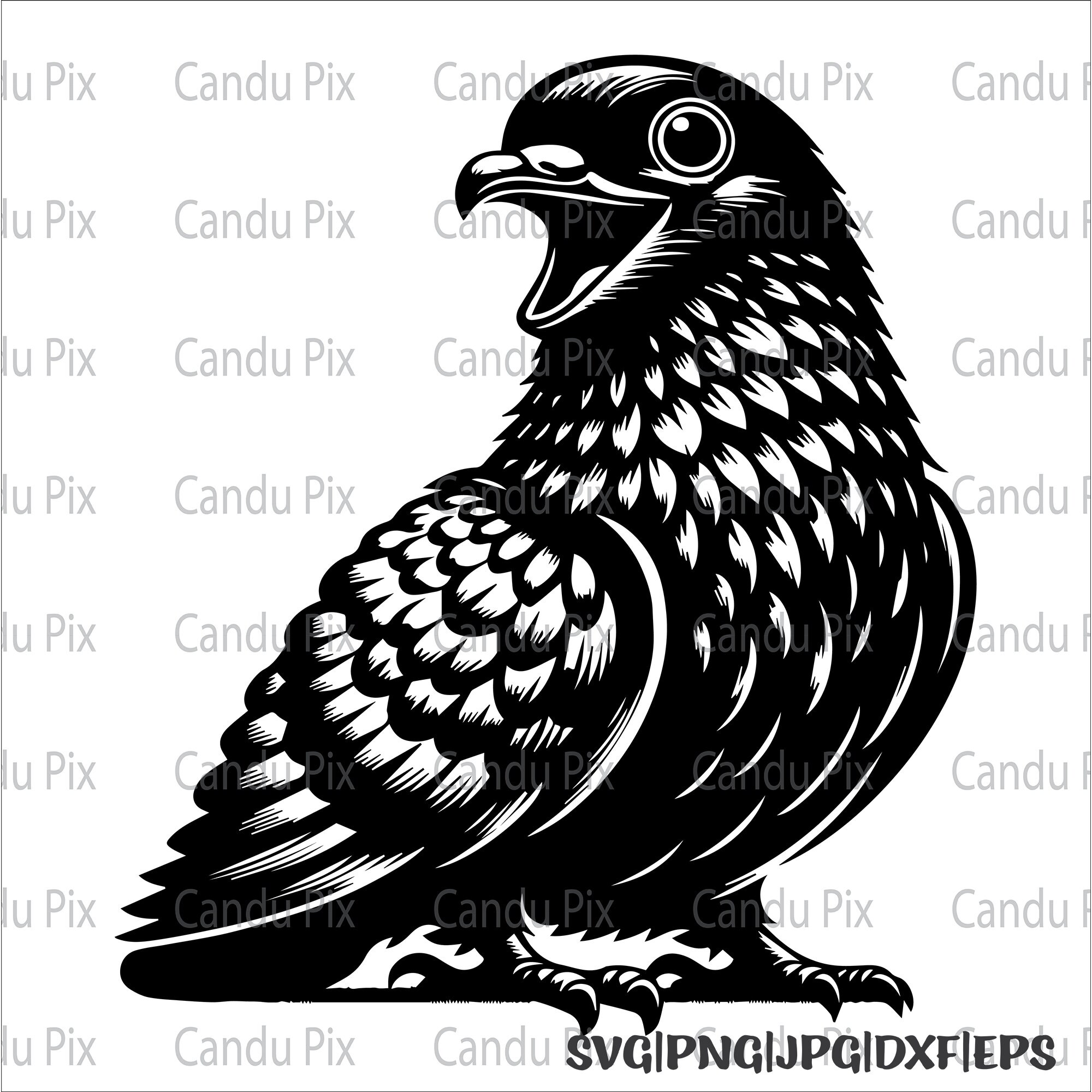 Pigeon Bird Svg, Pigeon Bird Png, Svg Png Dxf Eps Jpg, Black, 1 Layer ...