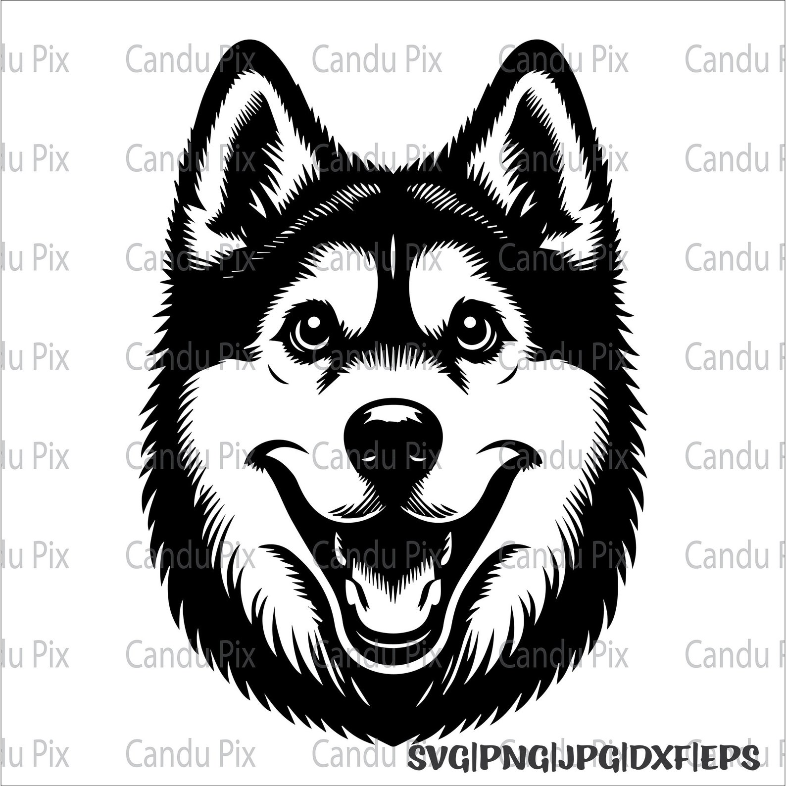 Siberian Husky Dog SVG, Husky Dog PNG, Eps, Dxf, Jpg, Vector Cute Husky ...