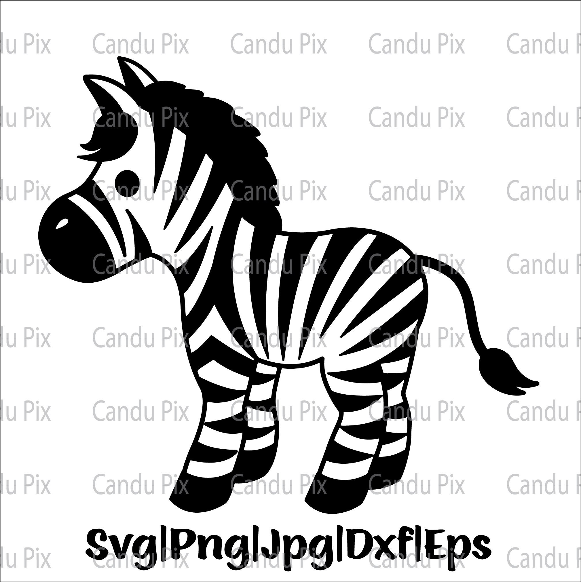Zebra Svg Zebra Png Zoo Animal Svg Png Zebra Cricut File - Etsy Canada