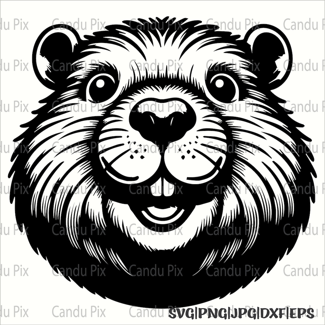 Happy Beaver Svg, Animal Face Svg, Happy Beaver Png, Animal Face Png - Etsy