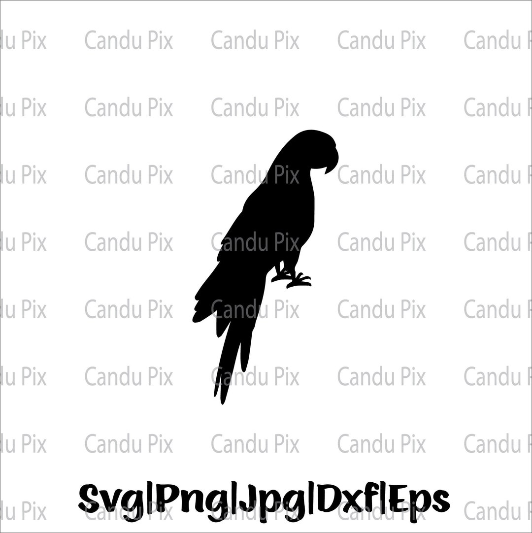 Parrot Svg, Smiling Parrot Svg, Cute Parrot Svg, Png Eps Jpg Dxf, Svg ...