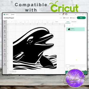 Beluga Whale Svg, Beluga Whale Png, Beach Svg, Beach Png, Sea Salt Png ...