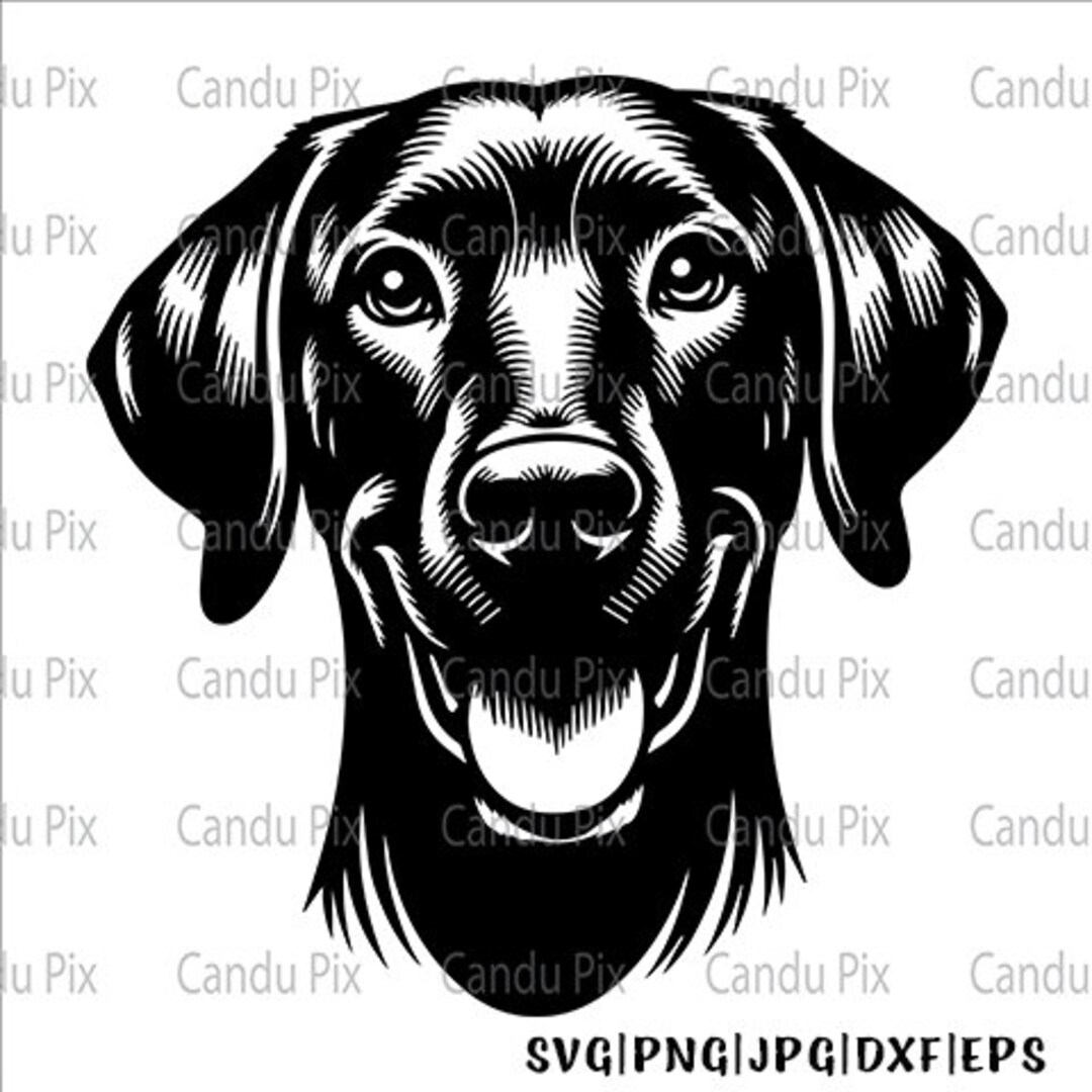 Plott Hound Svg, Plott Hound Png, Plott Hound Dxf, Pet Portrait Svg ...