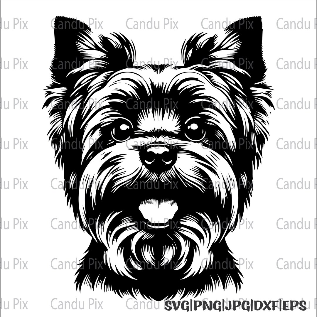Yorkie, Dog, Svg Png Dxf Eps Jpg, 1 Layer Cut File, Black, Silhouette ...