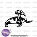 Seal Svg, Animal Svg, Seal Png, Animal Png, Seal Eps, Animal Eps, Seal ...