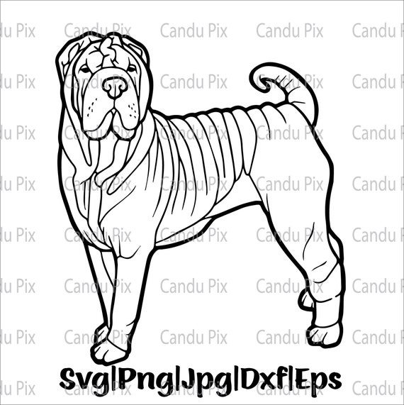 Chinese Shar Pei Dog Svg Chinese Shar Svg Chinese Shar Pei | Etsy
