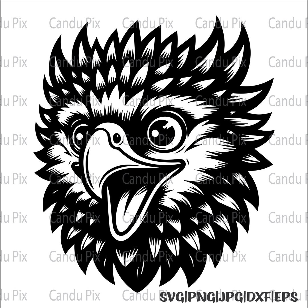 Eagle Head Svg, Happy Harpy Png, Eagle Head Png, Svg Png Dxf Eps Jpg ...