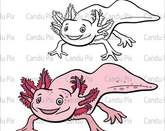 American Shad Svg Salt Water Fish Svg Marine Svg Aquatic - Etsy