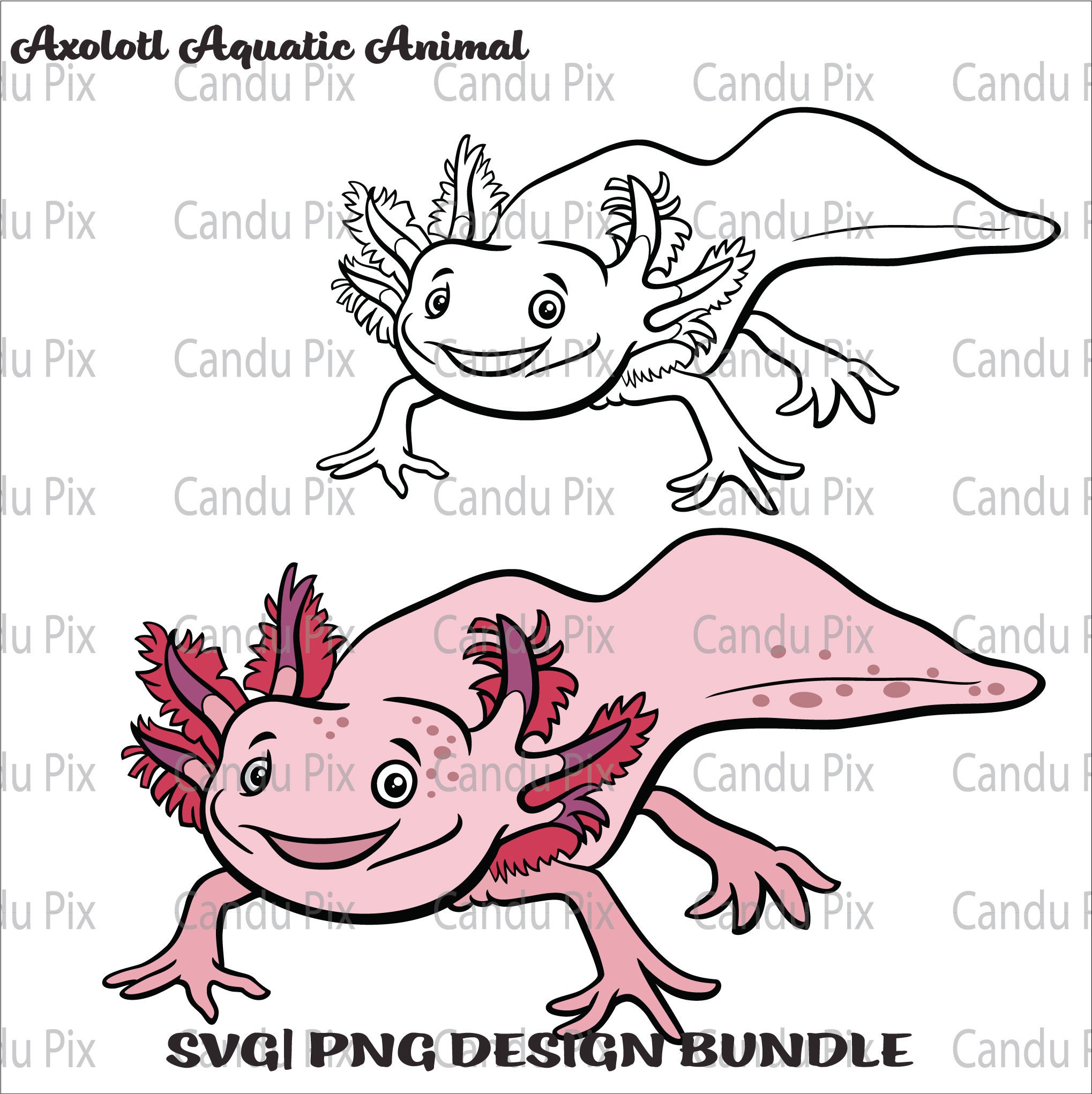 Axolotl Outline Svg Axolotl Silhouette Etsy Ireland Porn Sex Picture