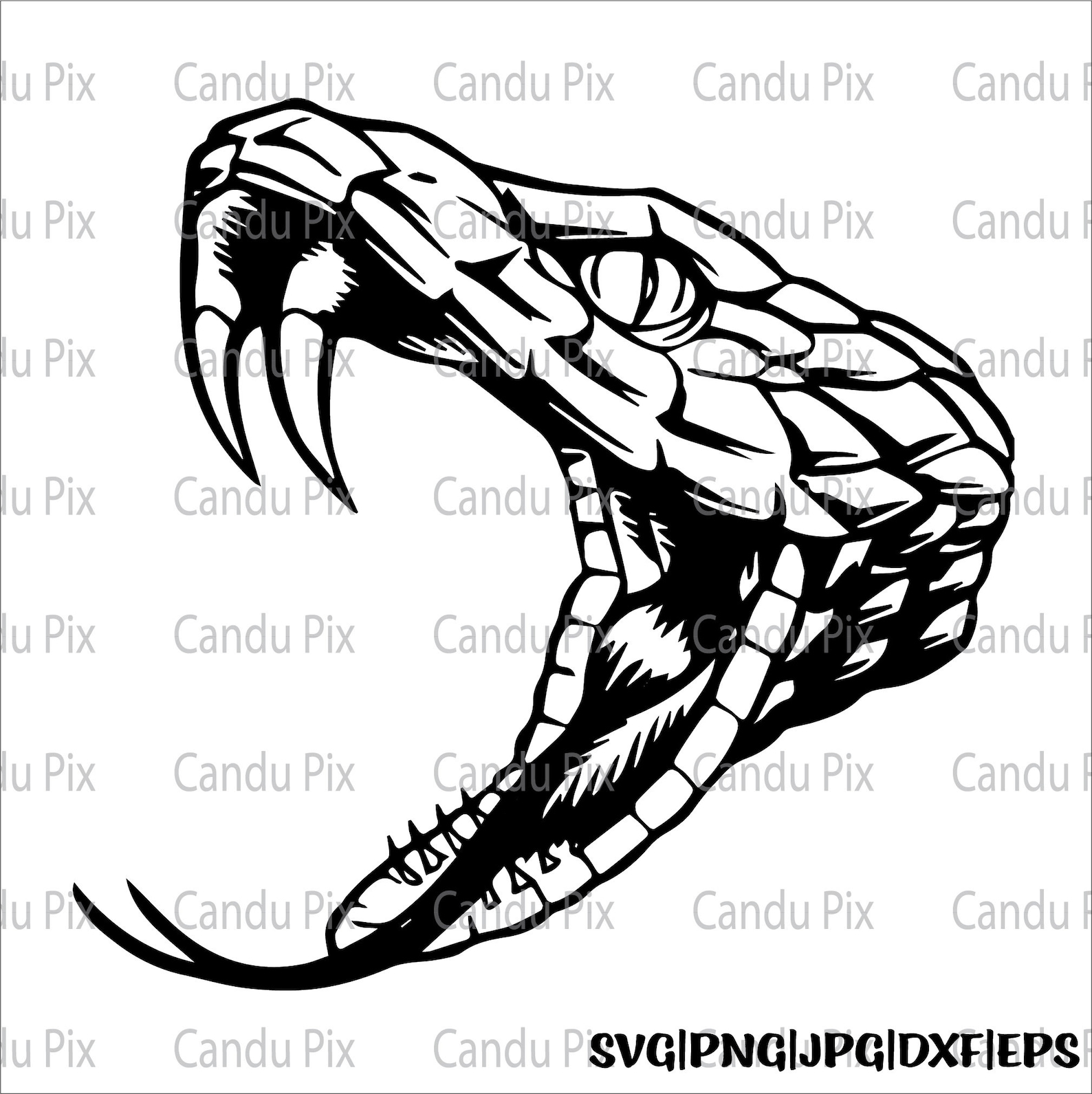 Rattlesnake Head Svg, Snake Svg, Rattlesnake Png, Snake Png, Cricut ...