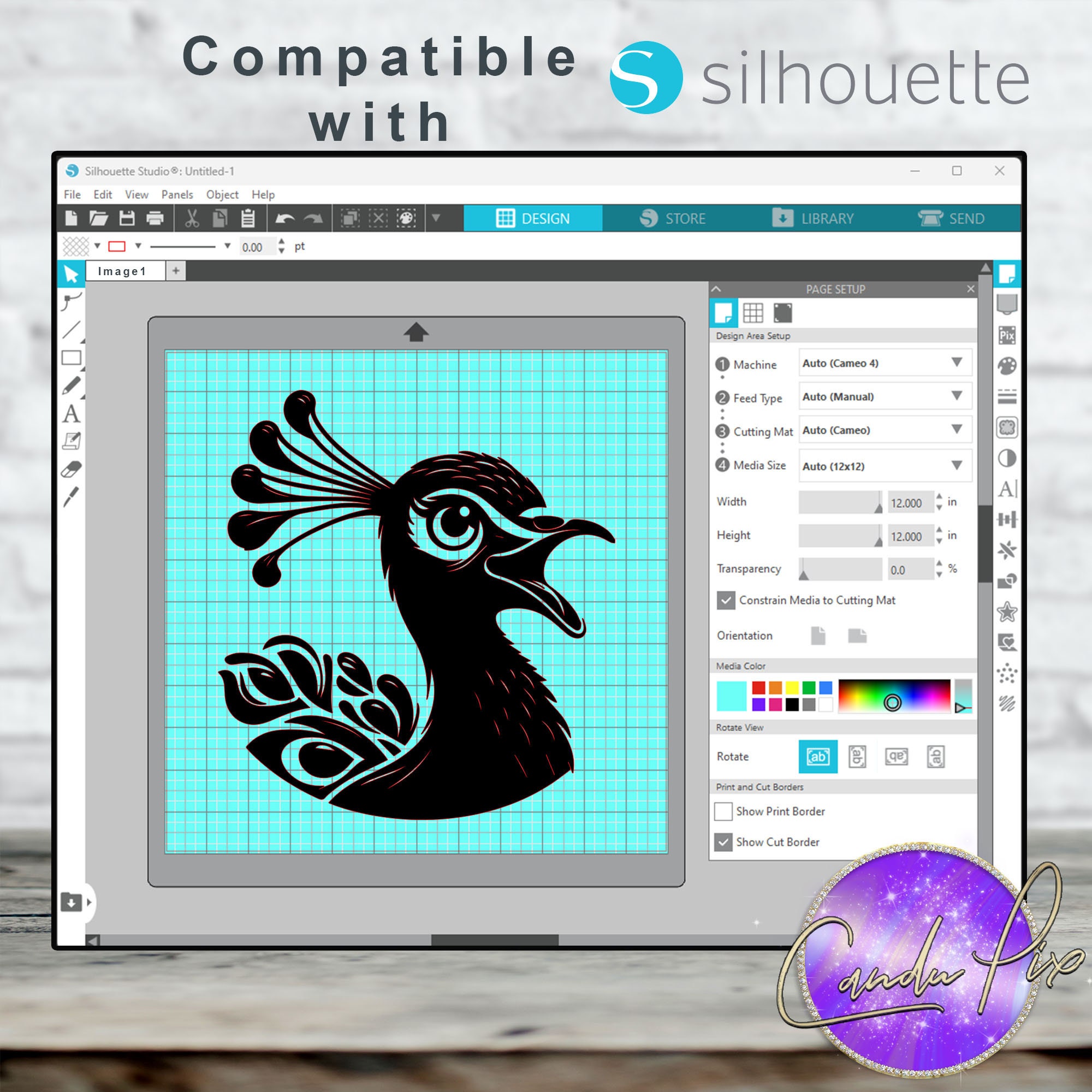 Peacock Svg, Bird Svg, Peacock Png, Bird Png, Peacock Dxf, Bird Dxf ...