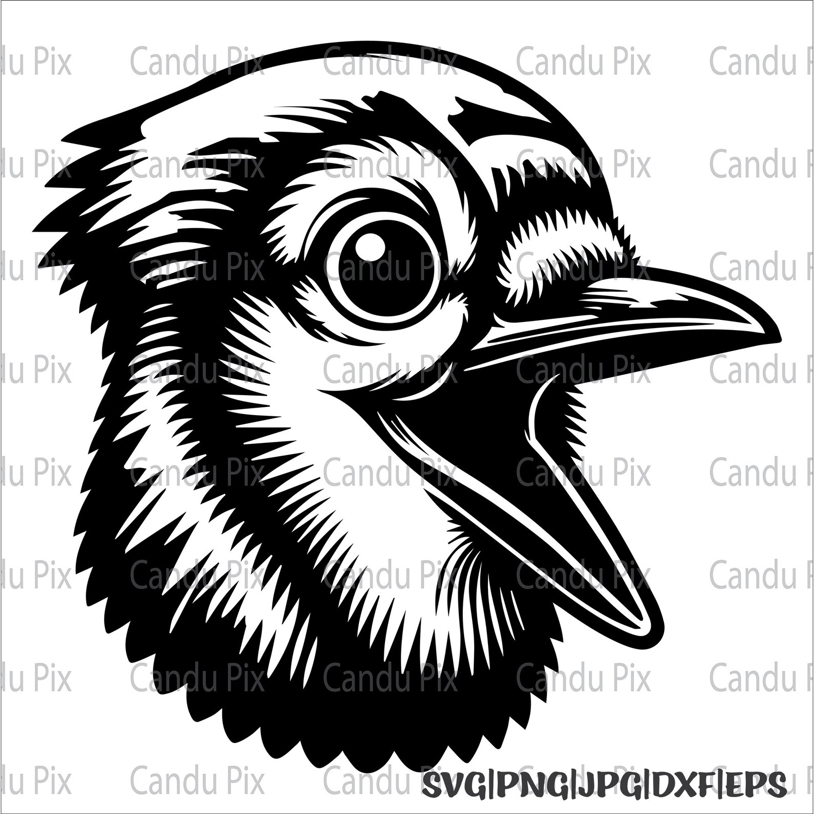 Happy Blue Jay Svg, Head Svg, Happy Blue Jay Png, Head Png, Svg Png Dxf ...