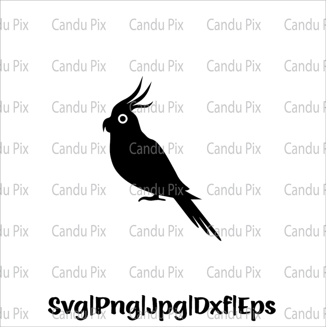 Cockatoo Parrot Svg, Smiling Parrot Svg, Cute Parrot Svg, Png Eps Jpg ...