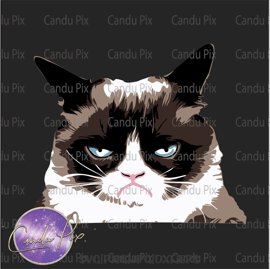 Pouting Cat Svg Mad Cat Svg Pouting Cat Png Mad Cat Png - Etsy