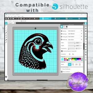 Quail Svg, Bird Svg, Quail Png, Bird Png, Quail Dxf, Bird Dxf, Cricut ...