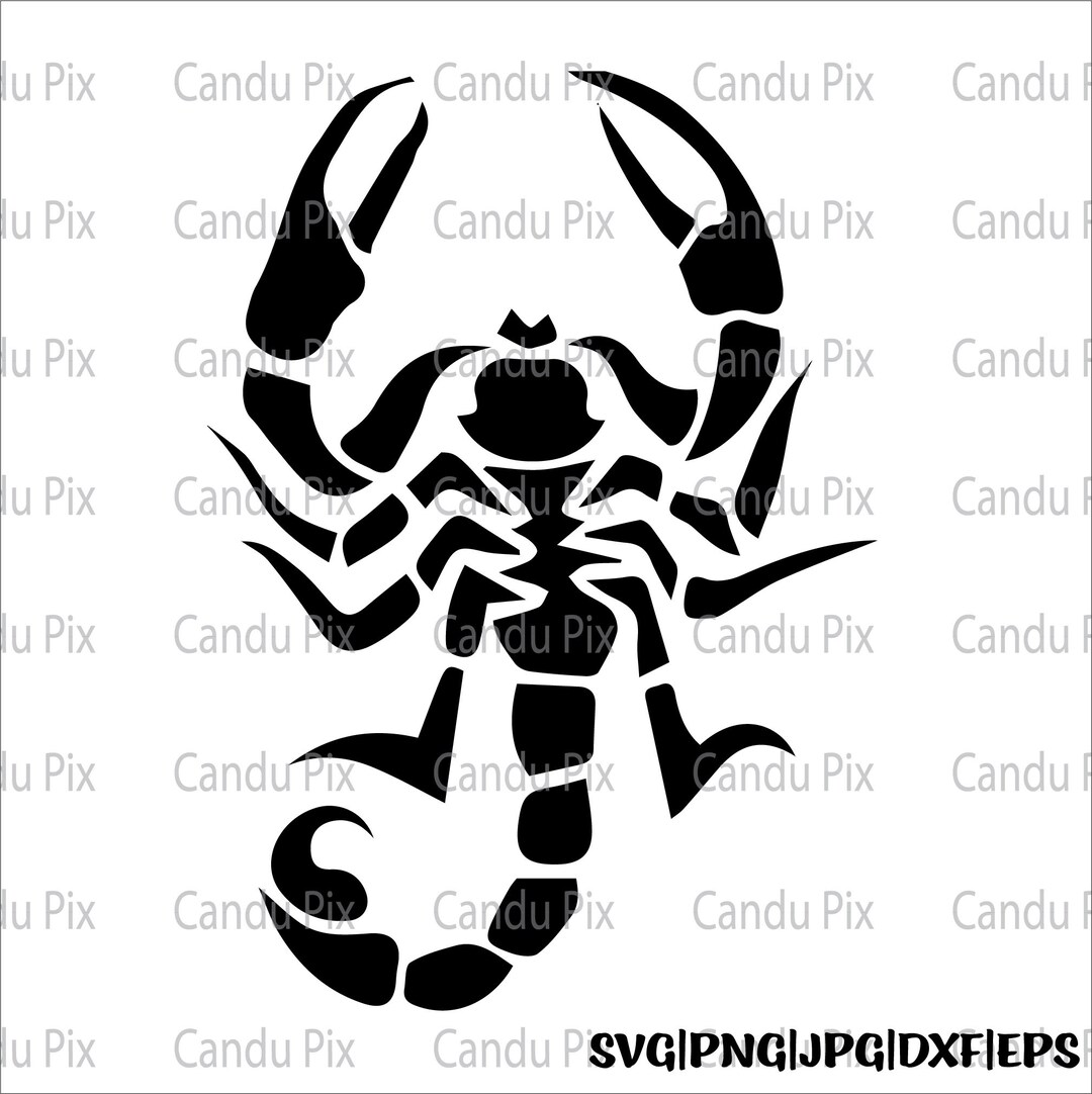 Scorpion Svg, Insect Svg, Scorpion Png, Insect Png, Cricut, Scorpion ...