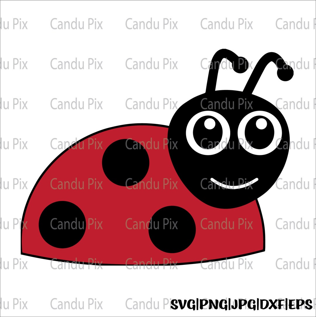Ladybug Svg, Bug Svg, Ladybug Png, Bug Png, Cricut, Ladybug Cut File - Etsy