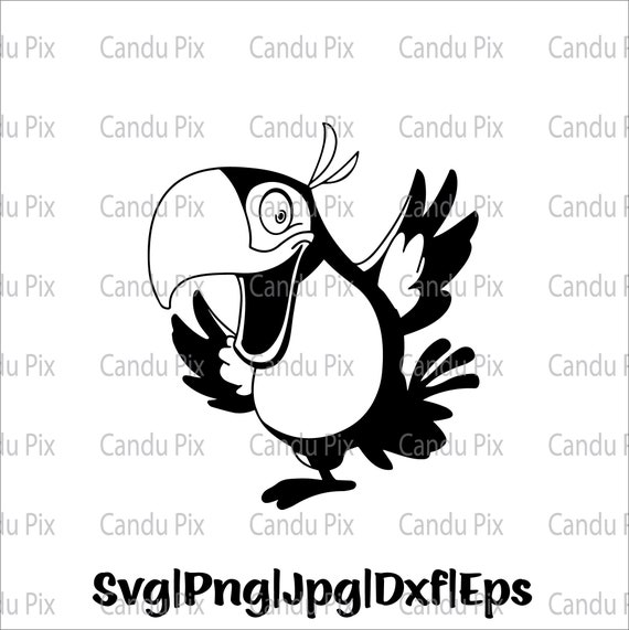Parrot Svg Smiling Parrot Svg Cute Parrot Svg Png Eps Jpg | Etsy