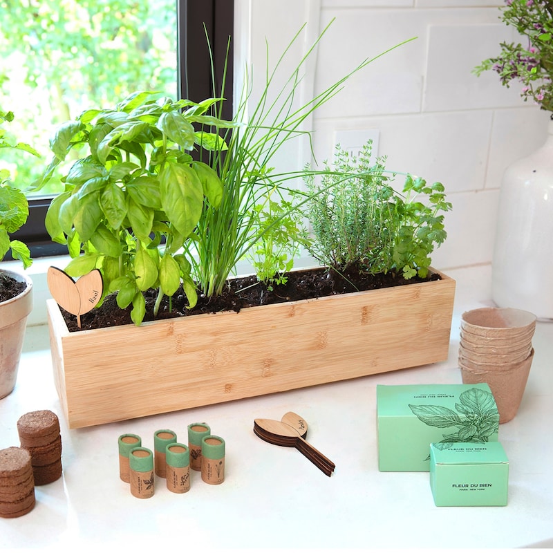 Indoor Herb Pot Kitchen - Etsy