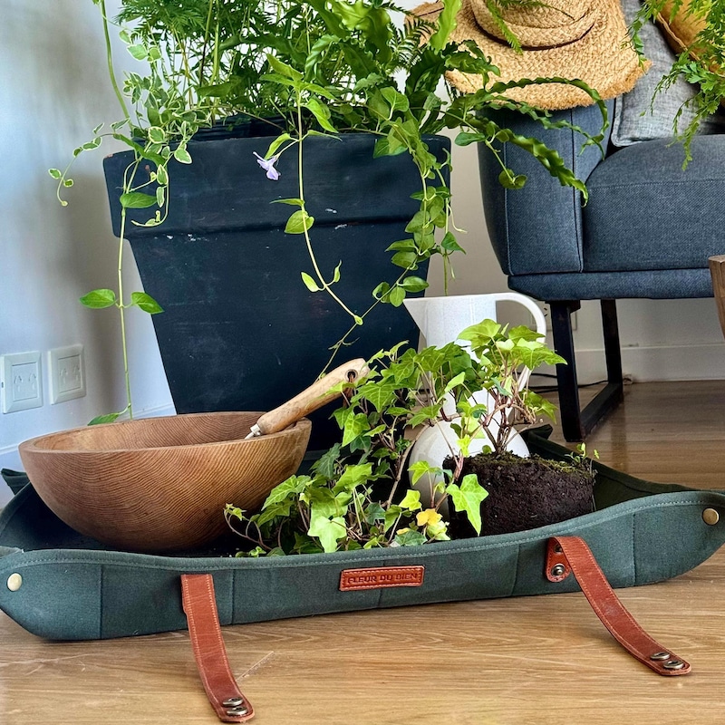 Indoor Plants Christmas - Etsy