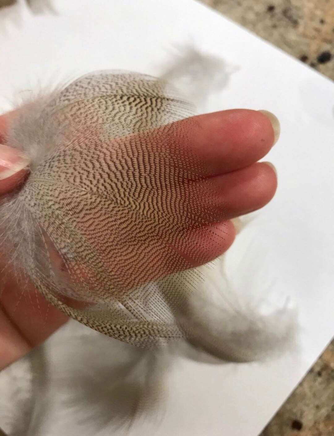 Fly Fishing Flies, Woodduck Type Flank Feathers, Call Duck Flank, Fly ...