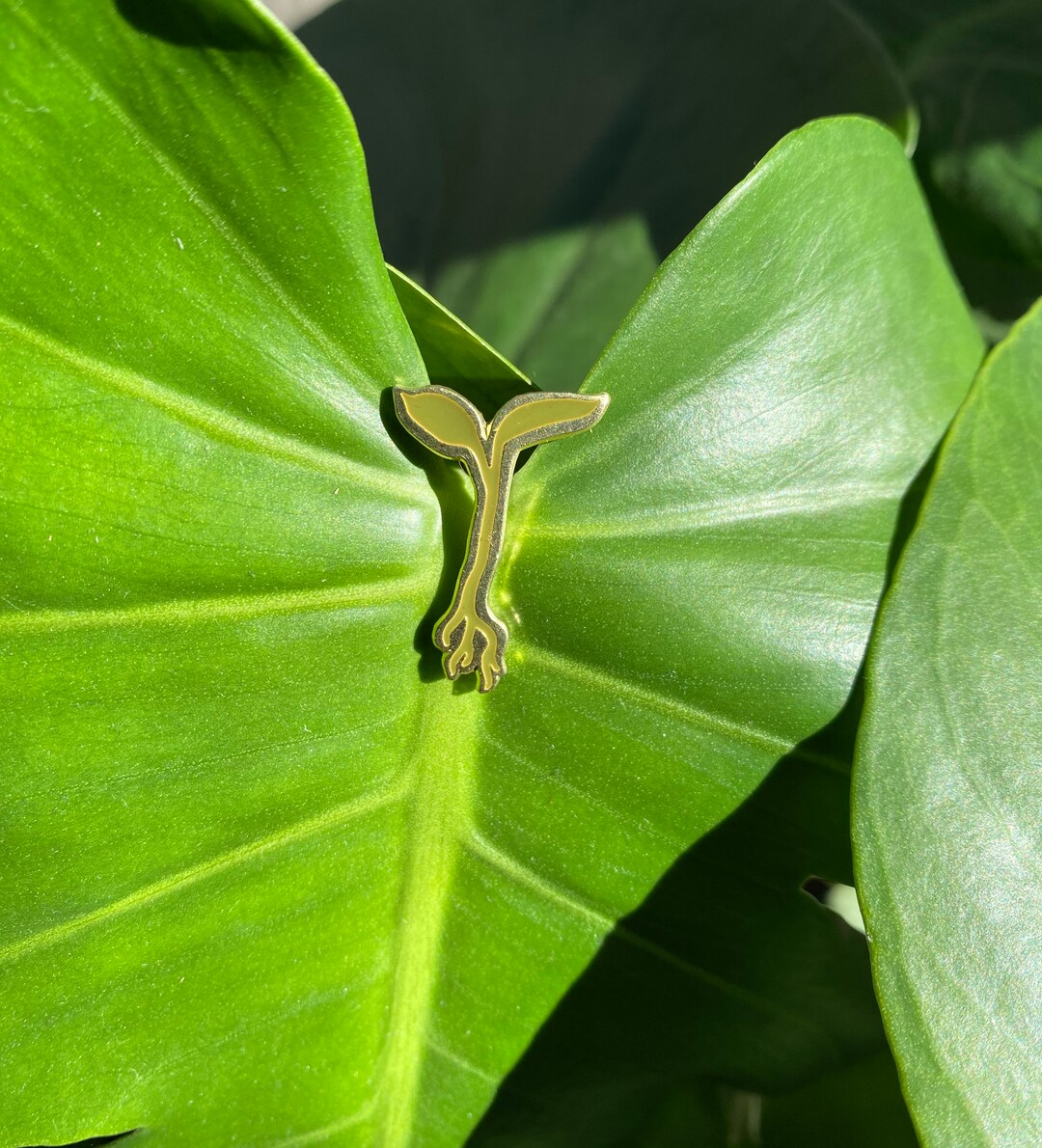 Plant Sprout Seedling Pin - Etsy