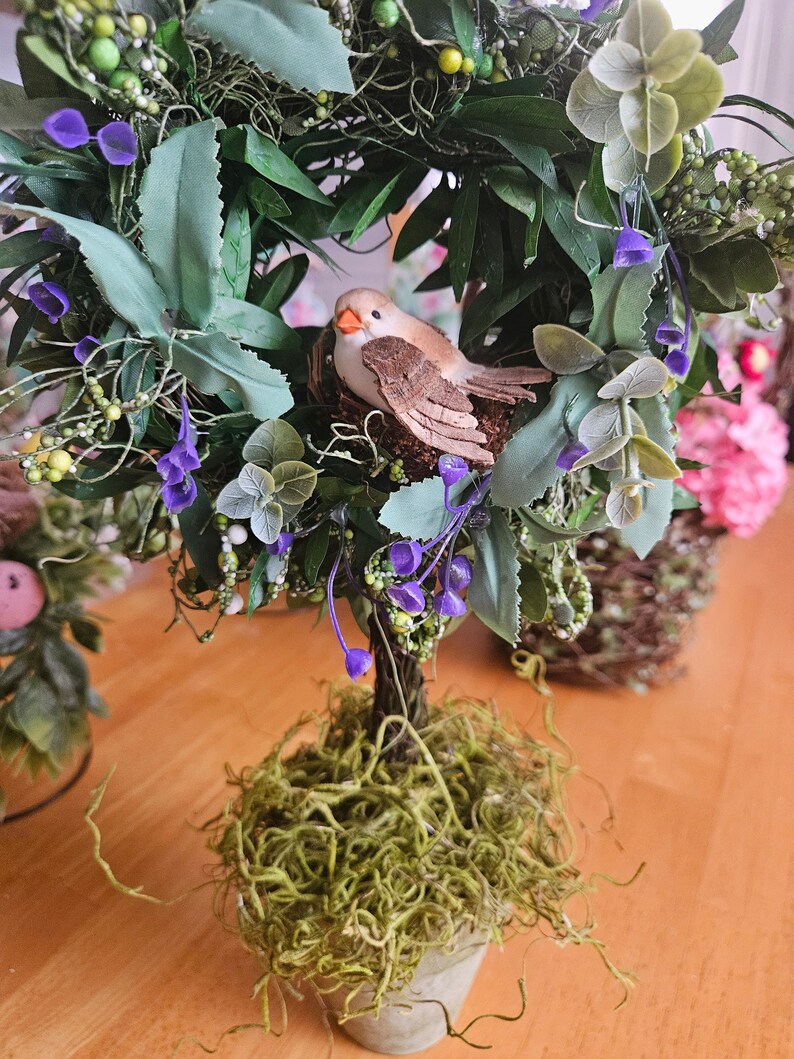 Topiary With Small Bird Nest and Terracotta Pot. - Etsy