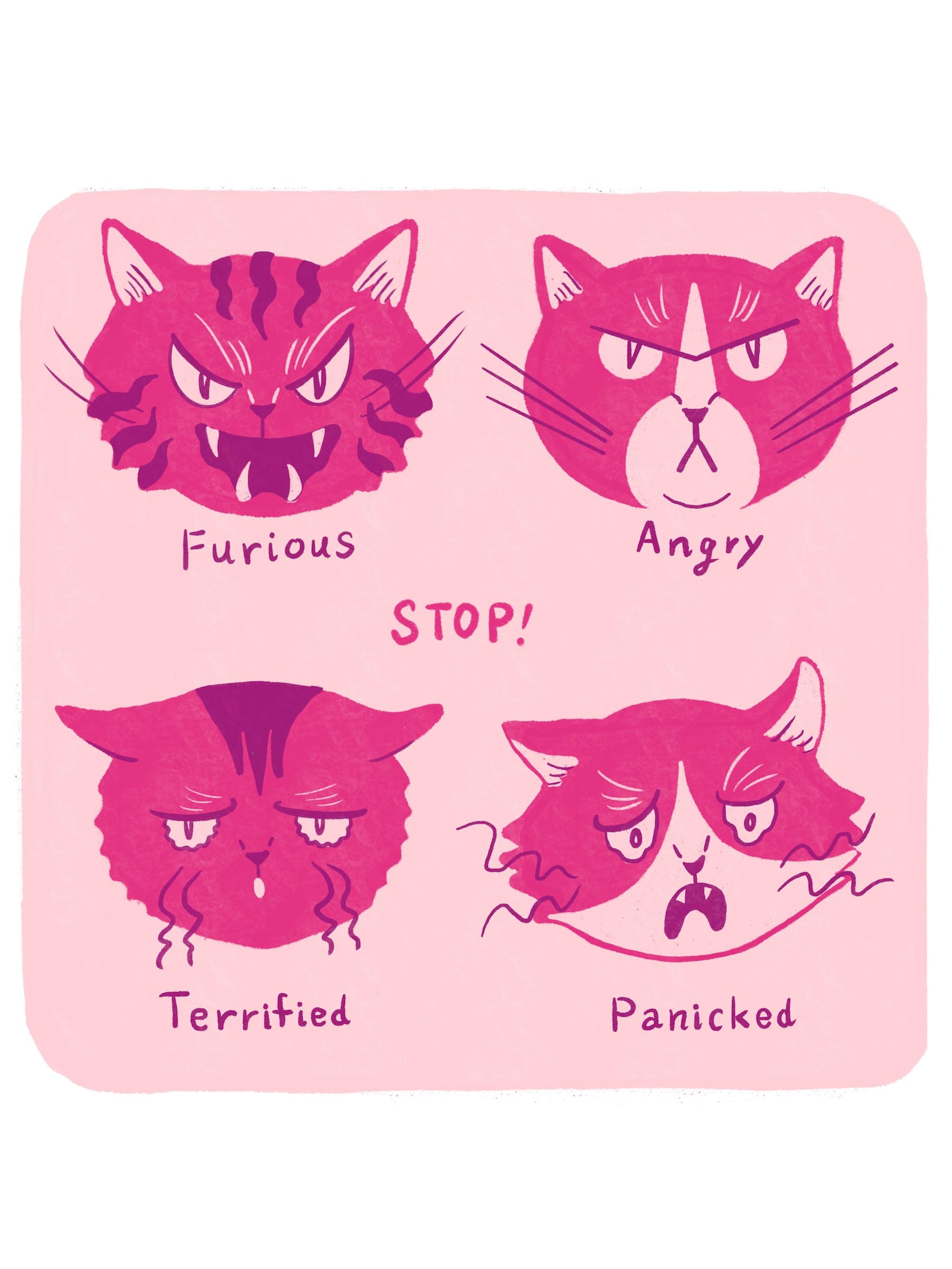 Zones of Regulation Poster: Cat Emotions Chart, Playroom Decor (digital ...