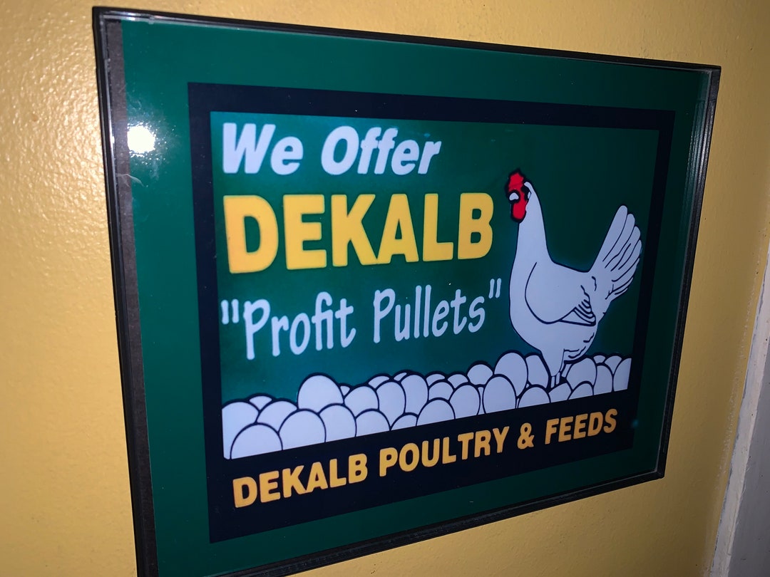 Dekalb Poultry Chicken Feed Barn Farm Farmer Garage Bar Framed ...