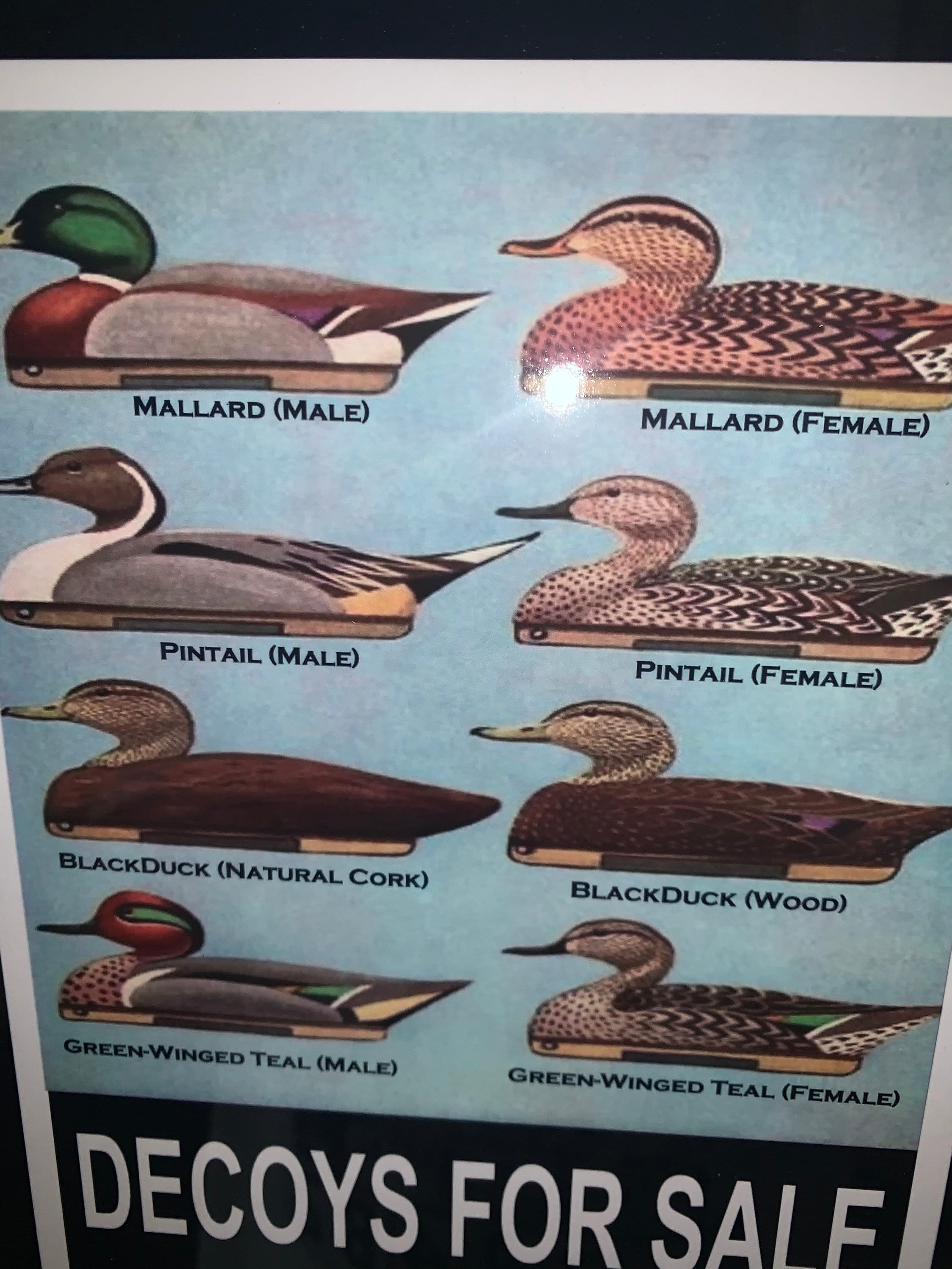 Duck Decoy Hunter Hunting Store Bar Framed Advertising Print Man Cave ...
