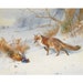 Overlooked by the Beaters Archibald Thorburn 1913 Fox Animal Poster ...